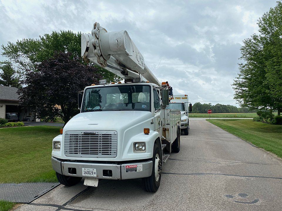 Busy Beaver Tree Care | Tree and Stump Removal | Roscoe, IL