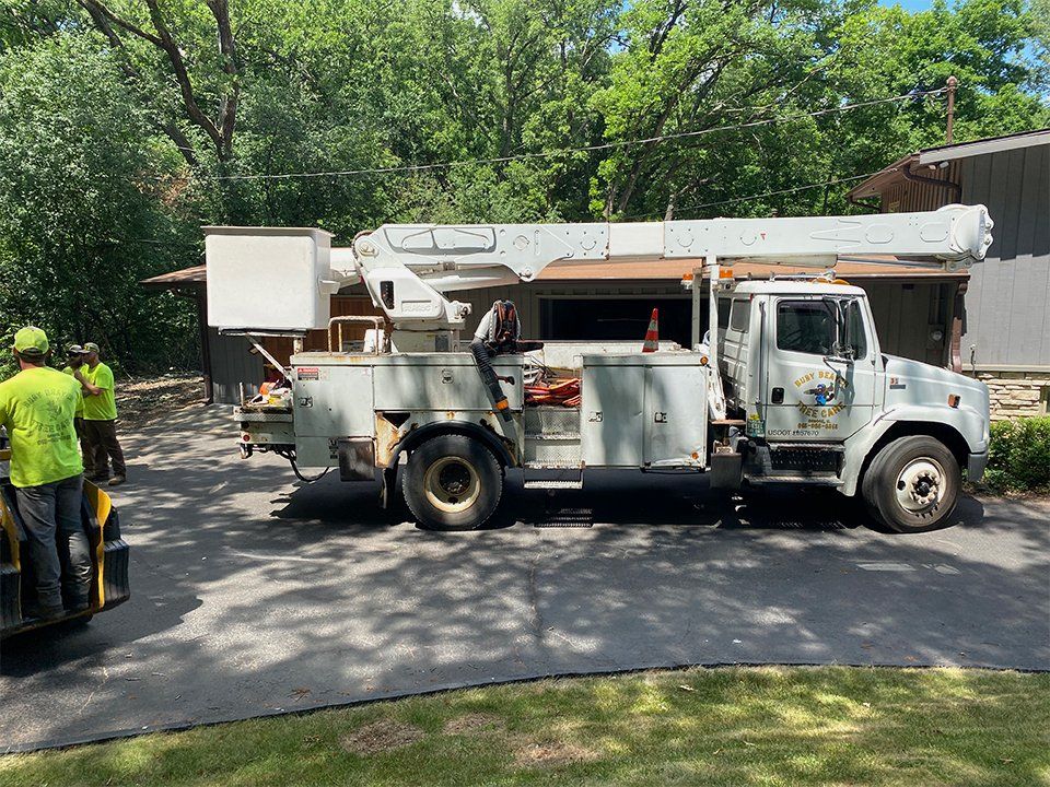Busy Beaver Tree Care | Tree and Stump Removal | Roscoe, IL