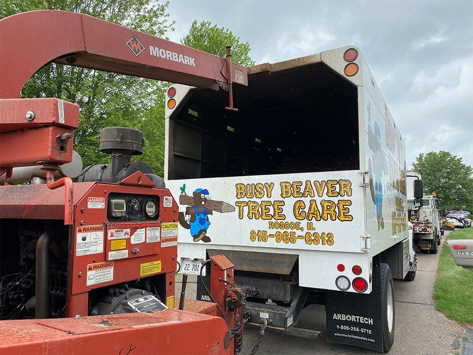 Busy Beaver Tree Care | Tree and Stump Removal | Roscoe, IL