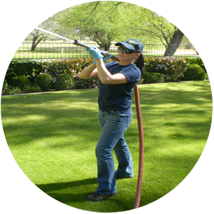 Arapahoe Tree Surgeon | Arborists | Tucson, AZ