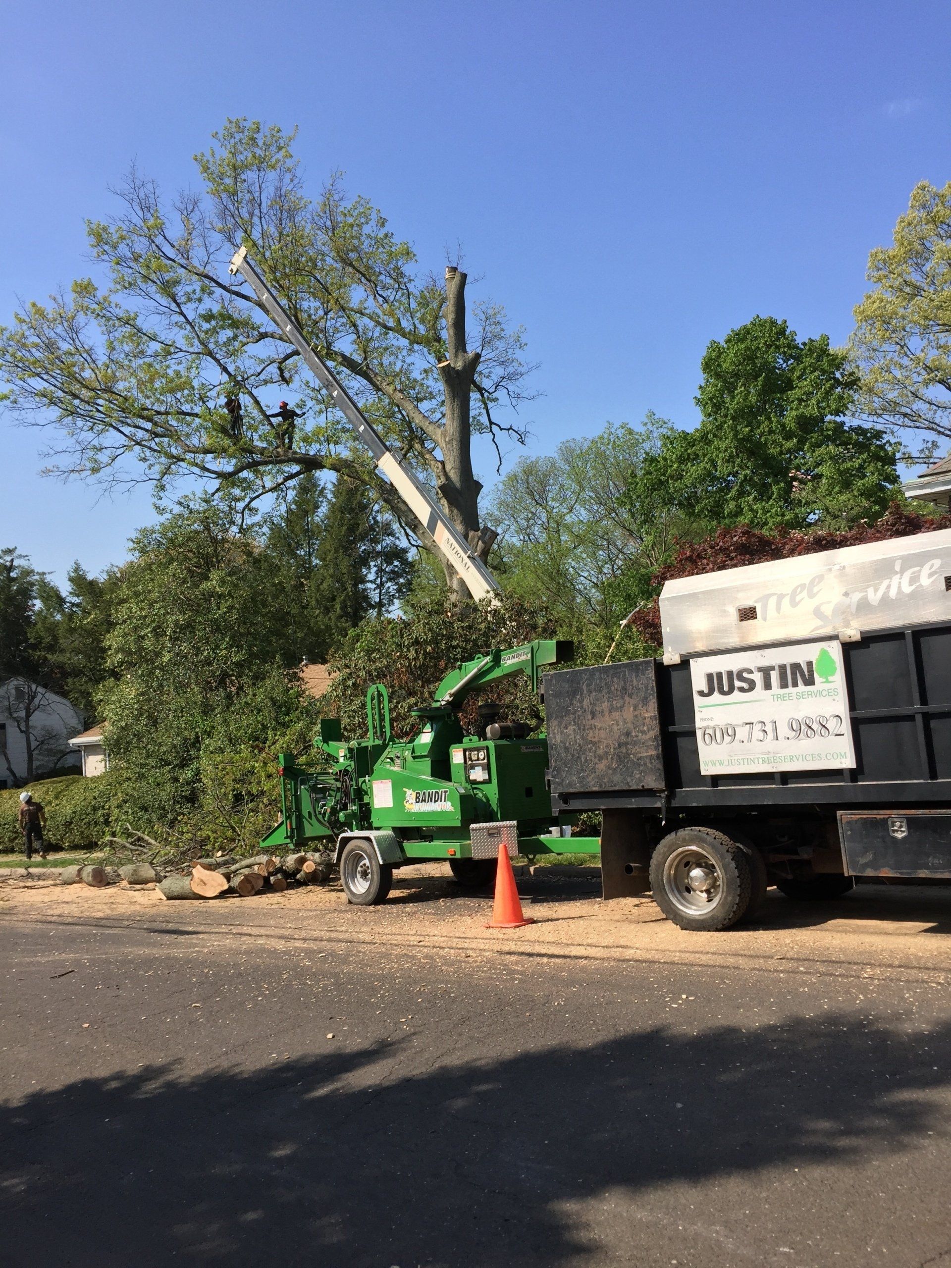 Justin Tree Services Photo Gallery | Lawrence Township, NJ