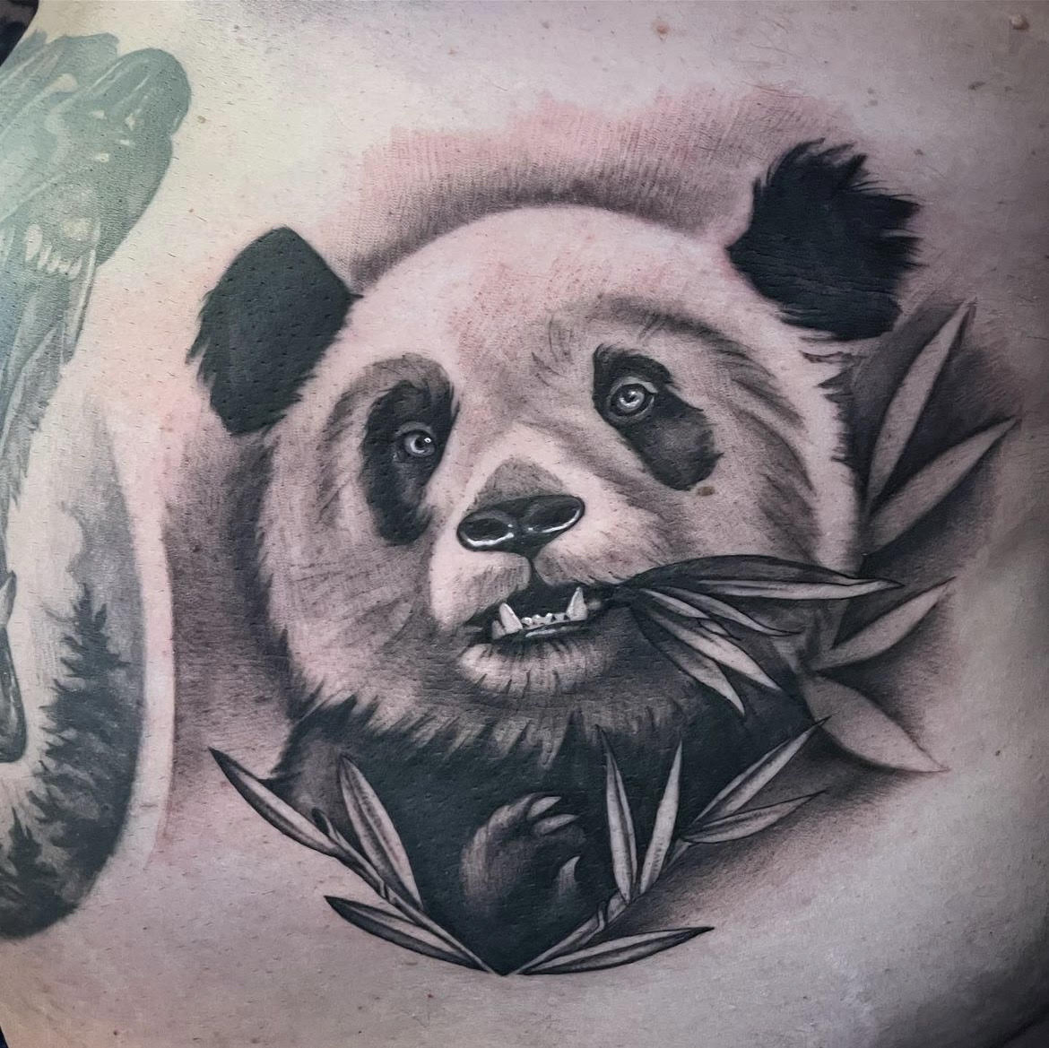 Brielle Wilson | True Line Tattoo