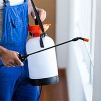 Pest Control | Wildcat Exterminating | Southern Arizona