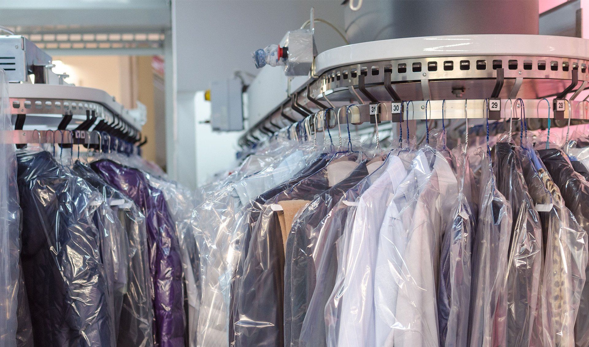 Reviews | Laundry Palace